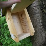 DB E&C commissioned to map the dormouse's animal habitats